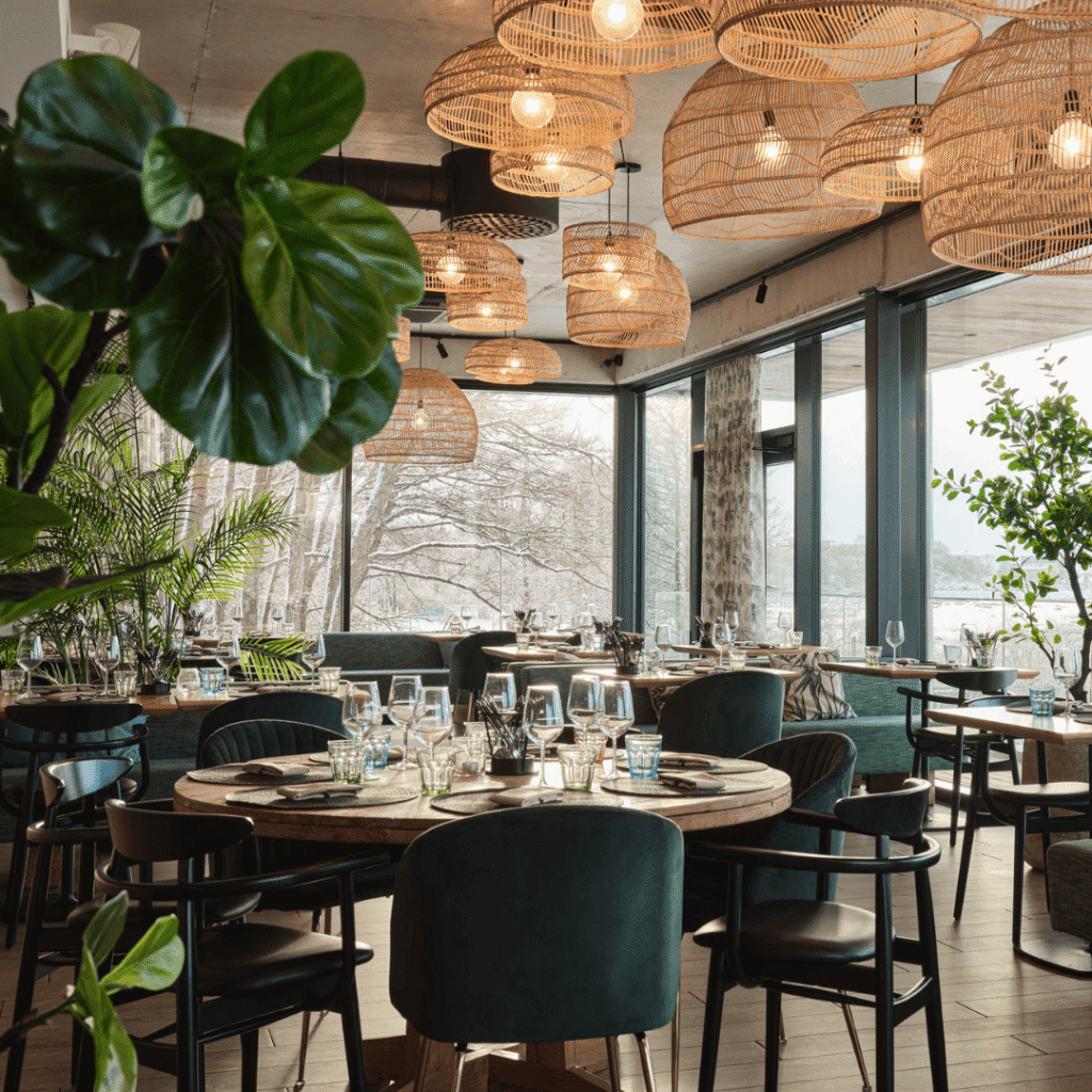 Avaleht - TOKO Resto